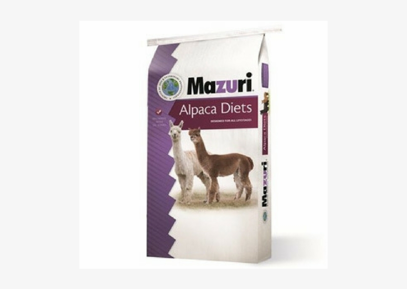 Mazuri Alpaca - Stallion PNG Image | Transparent PNG Free Download on ...