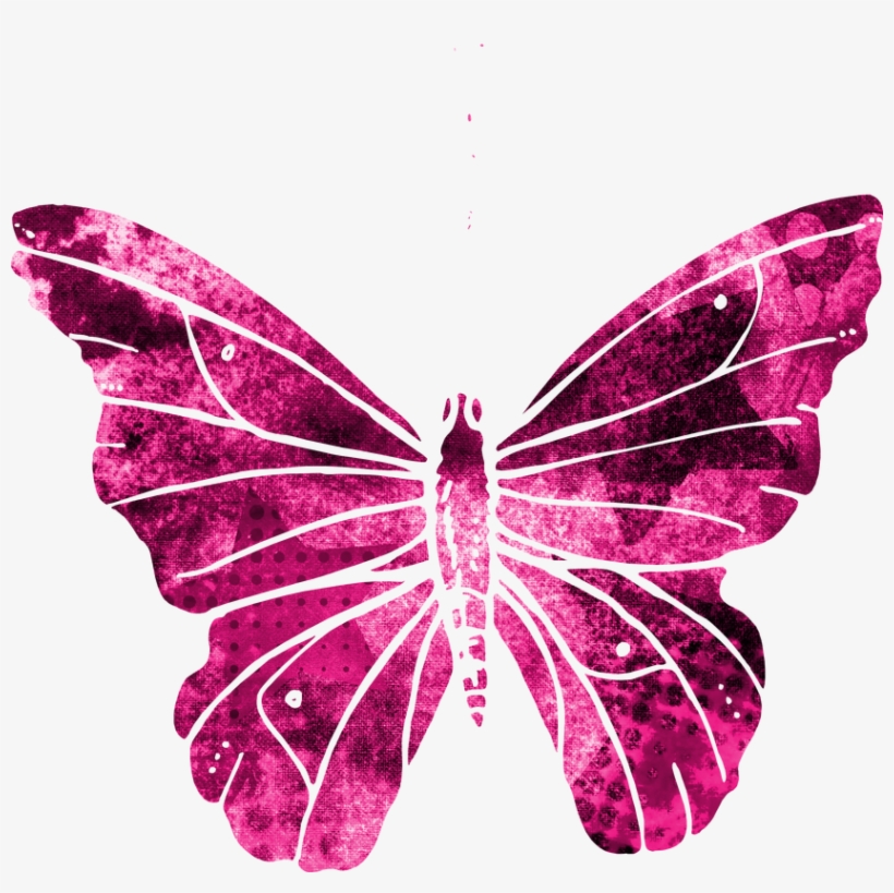 Tags - - Butterfly PNG Image | Transparent PNG Free Download on SeekPNG