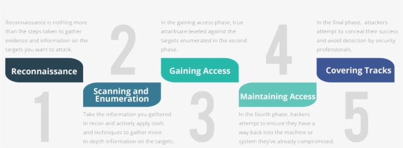 Download 5 Phases Of Hacking - Ethical Hacking 5 Steps | Transparent ...