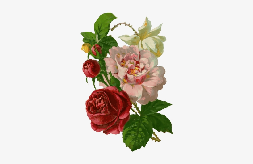 Download 30 Vintage Roses For Scrap, Rose Png Beautiful Flowers ...