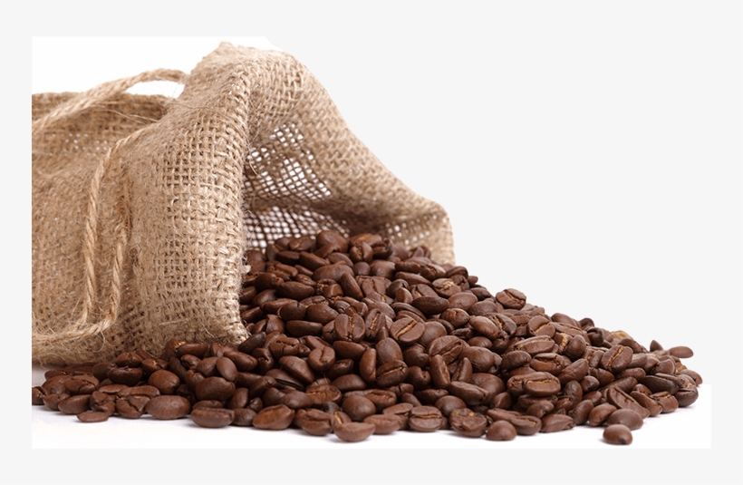 Freshly Roasted Coffee - Coffee PNG Image | Transparent PNG Free ...