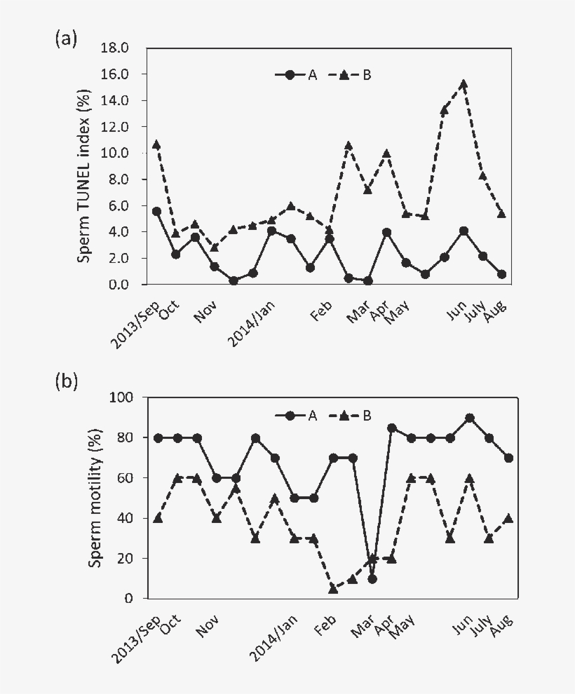 Download 663 X 910 5 - Diagram | Transparent PNG Download | SeekPNG