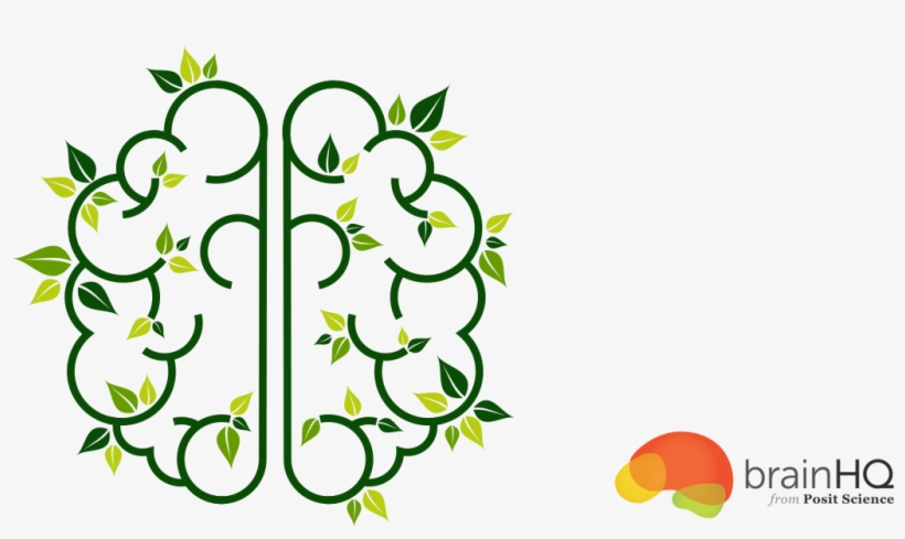 Tips For Growing Brains - Brain With Books Inside PNG Image ...