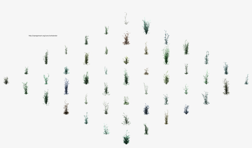Hjm Grasses 1 Alpha - Tree PNG Image | Transparent PNG Free Download on ...
