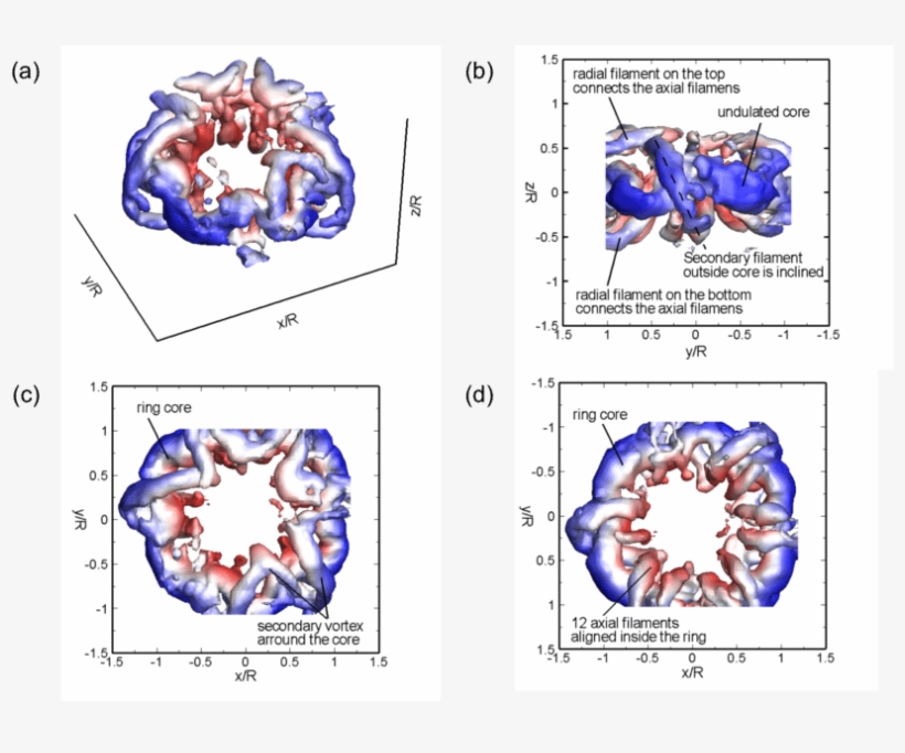 Vortex Ring At T/t0=500 Represented By Isosurface Of - Floral Design ...