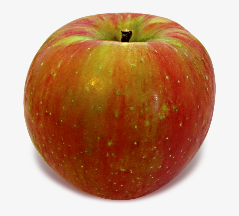 717 X 700 9 - Mcintosh PNG Image | Transparent PNG Free Download on SeekPNG
