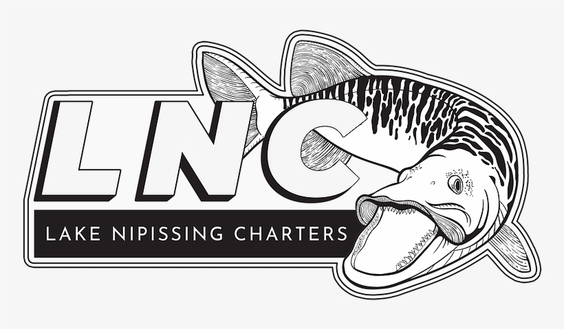 Logo Layout Overlay - Drawing PNG Image | Transparent PNG Free Download ...