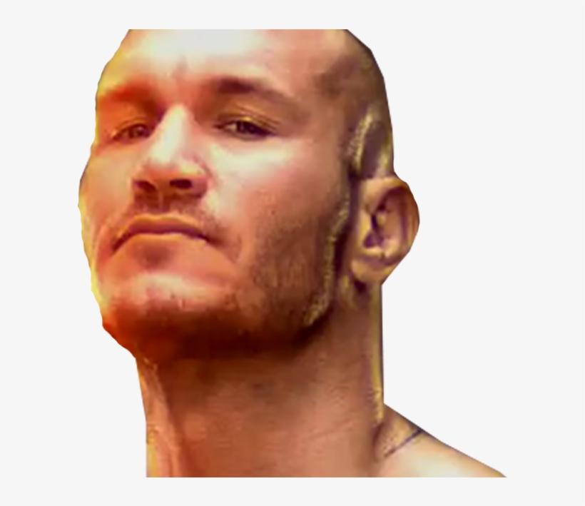Randy Orton Face Png PNG Image | Transparent PNG Free Download on SeekPNG
