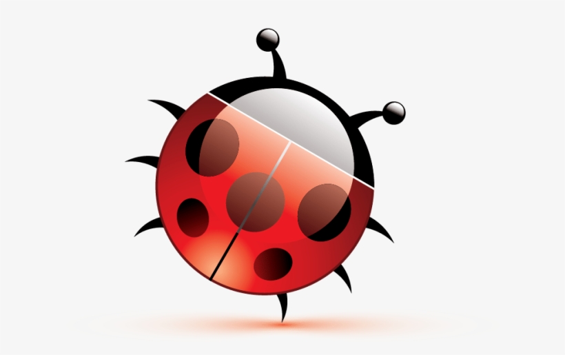 Ladybug PNG Image | Transparent PNG Free Download on SeekPNG