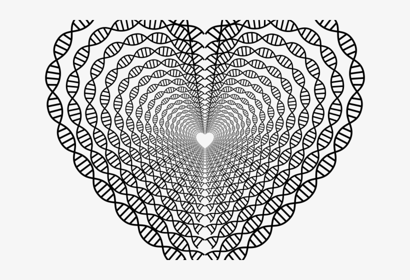 Download Heart Clipart Doily - Circle | Transparent PNG Download | SeekPNG