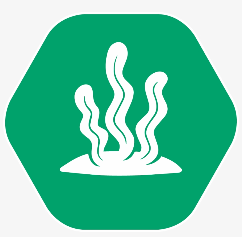 Com PNG Image | Transparent PNG Free Download on SeekPNG