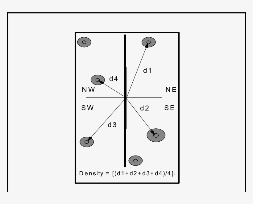 The Point-quarter Sampling Technique - Diagram PNG Image | Transparent ...