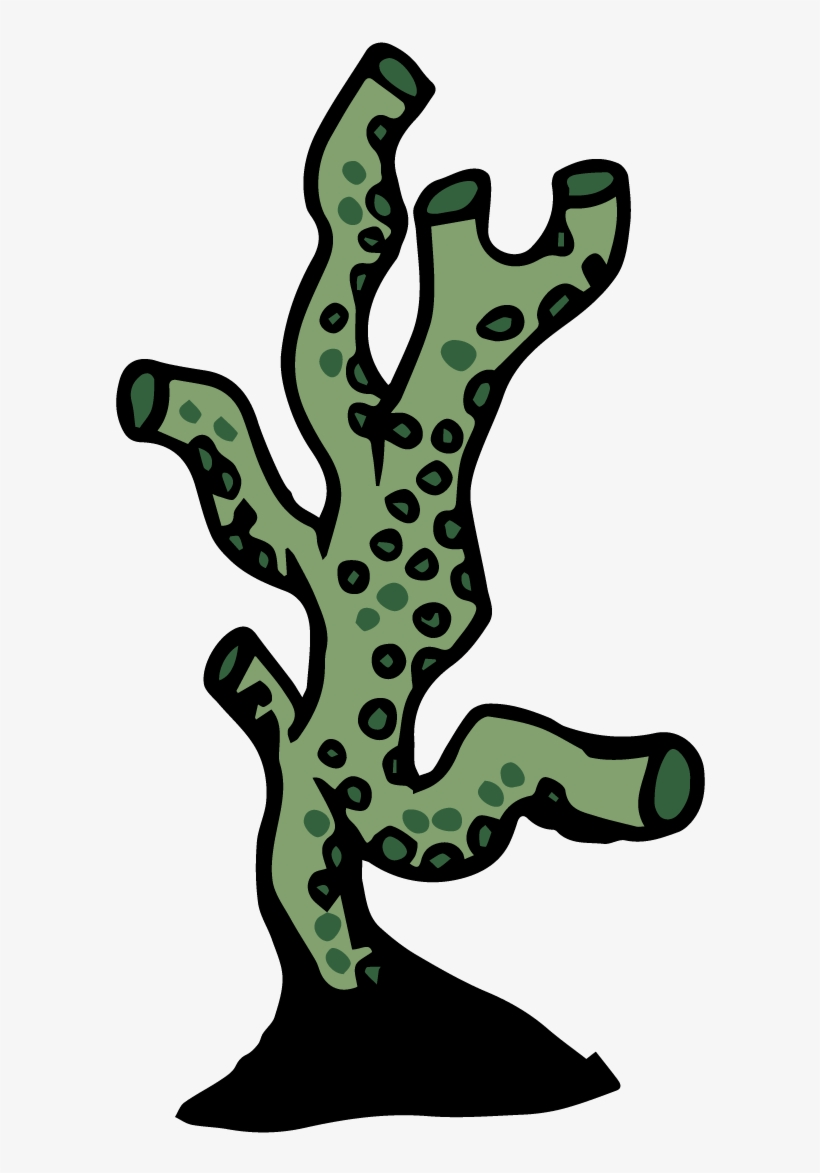 Ipa PNG Image | Transparent PNG Free Download on SeekPNG