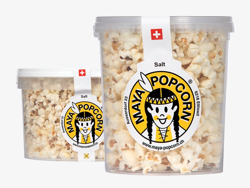Salt Everything Began With Salt Flavour Popcorn, The PNG Image ...