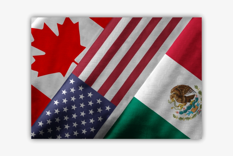 They're All On The Pro Rodeo Circuit PNG Image | Transparent PNG Free ...