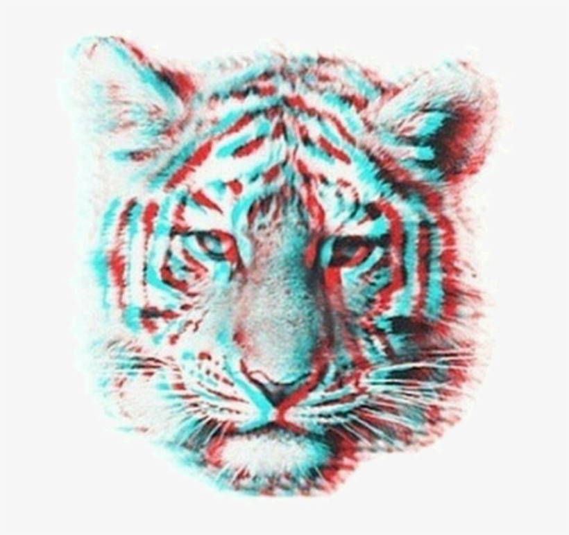 Tiger Sticker PNG Image | Transparent PNG Free Download on SeekPNG