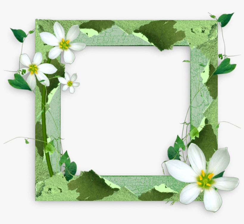 4 - Picture Frame PNG Image | Transparent PNG Free Download on SeekPNG