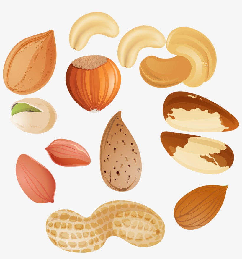Nuts Png Clipar Image - Nuts Clip Art PNG Image | Transparent PNG Free ...