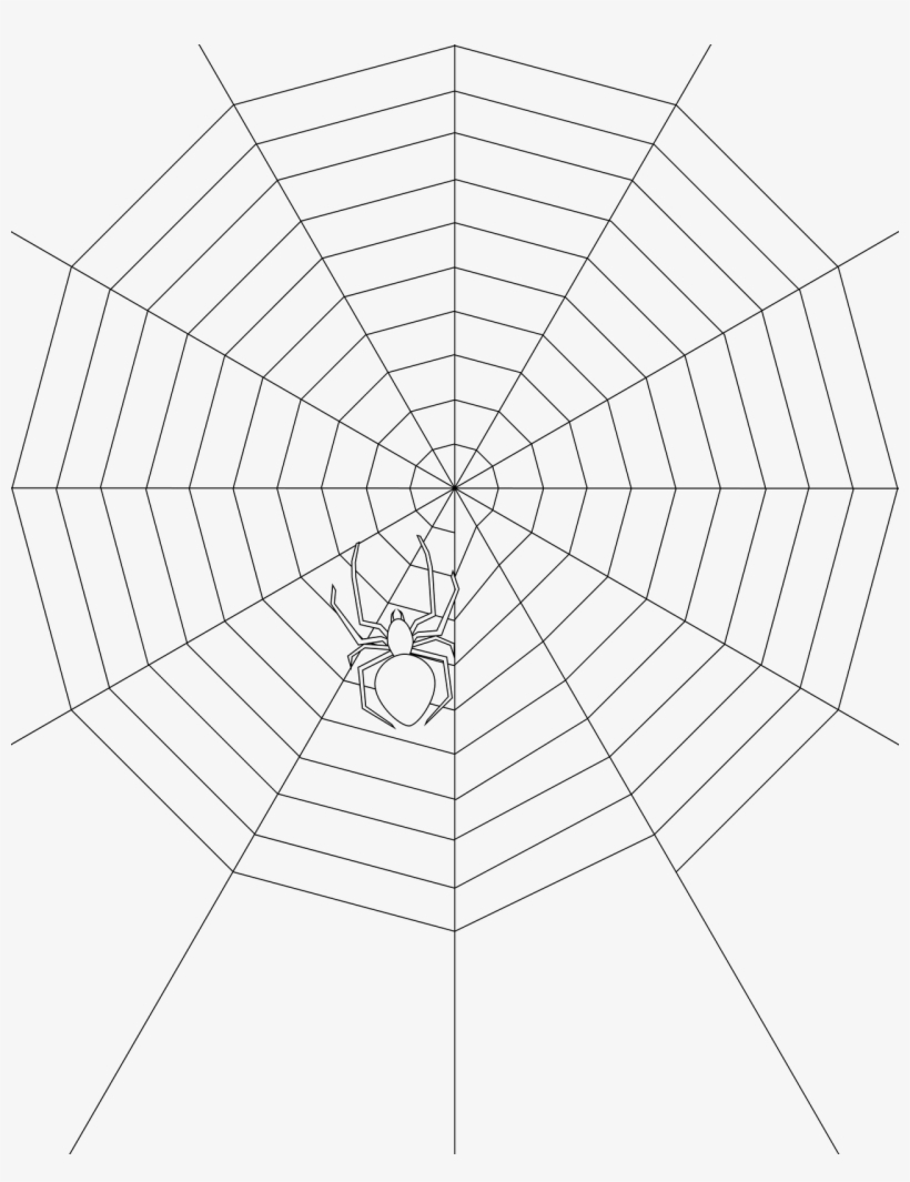 Drawing Web Spider Silk - Orb Weaver Web Drawing PNG Image ...