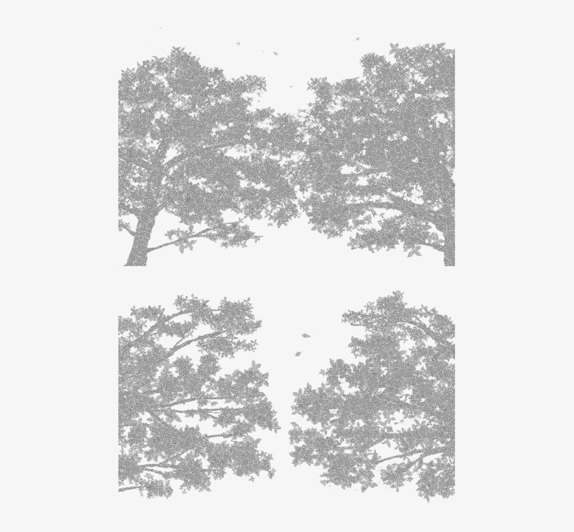 Larch PNG Image | Transparent PNG Free Download on SeekPNG