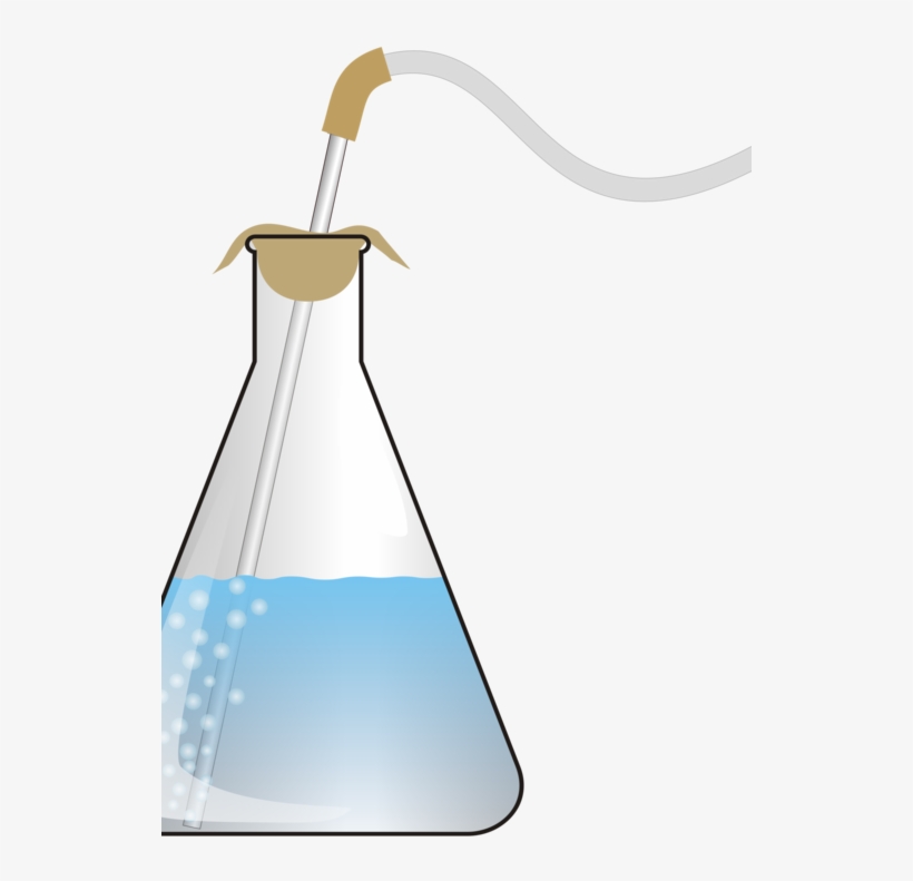 Flask Png PNG Images | PNG Cliparts Free Download on SeekPNG