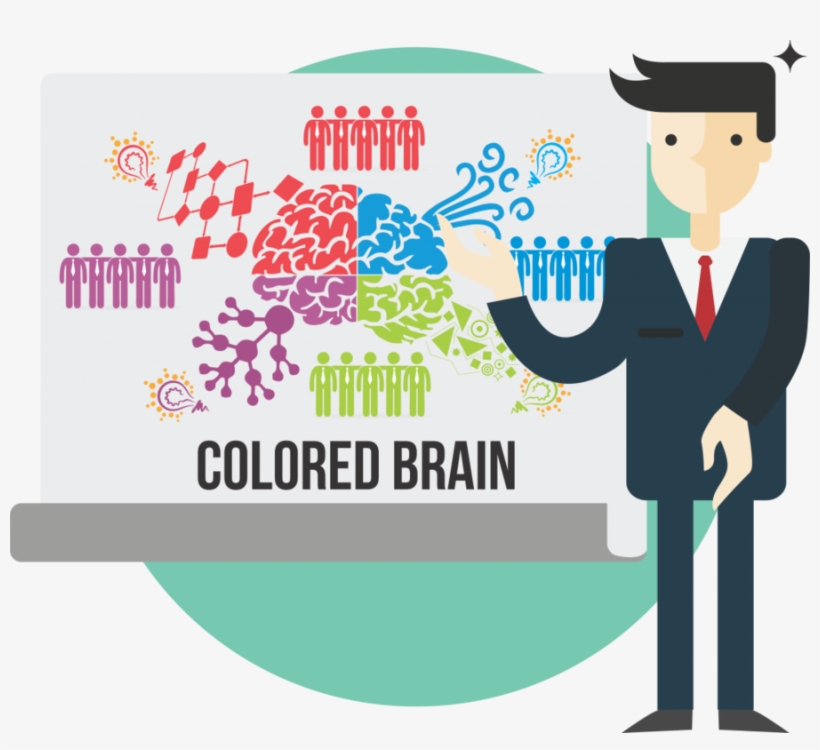 Colored Brain Clipart Brain Development Of The Nervous - Nobody Wants ...
