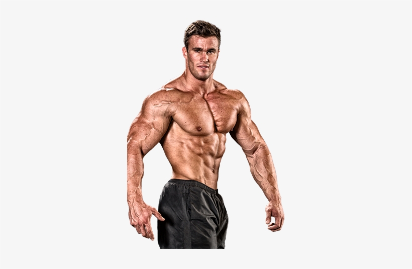 Download Bodybuilder Hd Png | Transparent PNG Download | SeekPNG