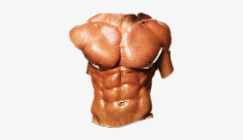 Download Picsart Six Pack Png | Transparent PNG Download | SeekPNG