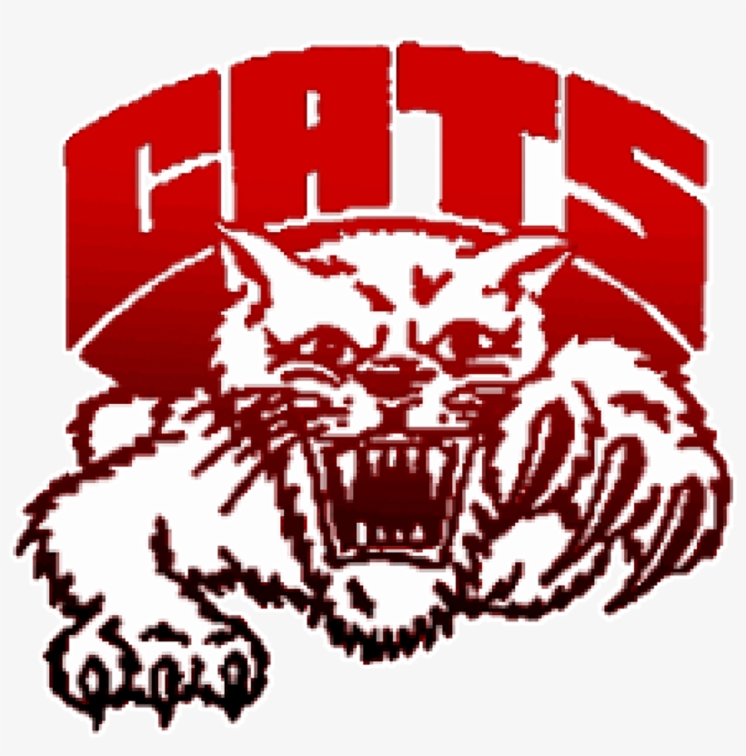 School Logo - Struthers Wildcats 2019 Logo PNG Image | Transparent PNG ...