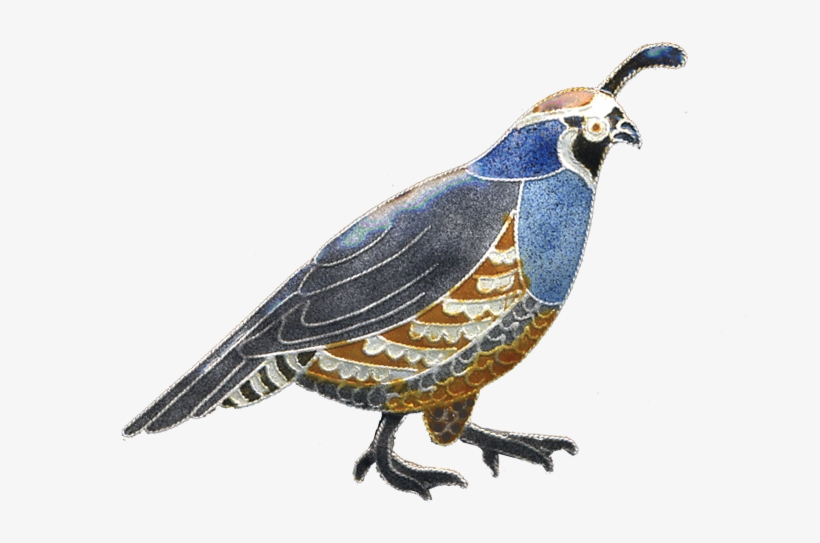 0122pin - Quail PNG Image | Transparent PNG Free Download on SeekPNG
