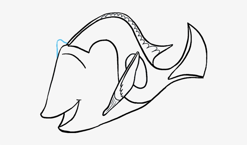 Download How To Draw Dory - Line Art | Transparent PNG Download | SeekPNG