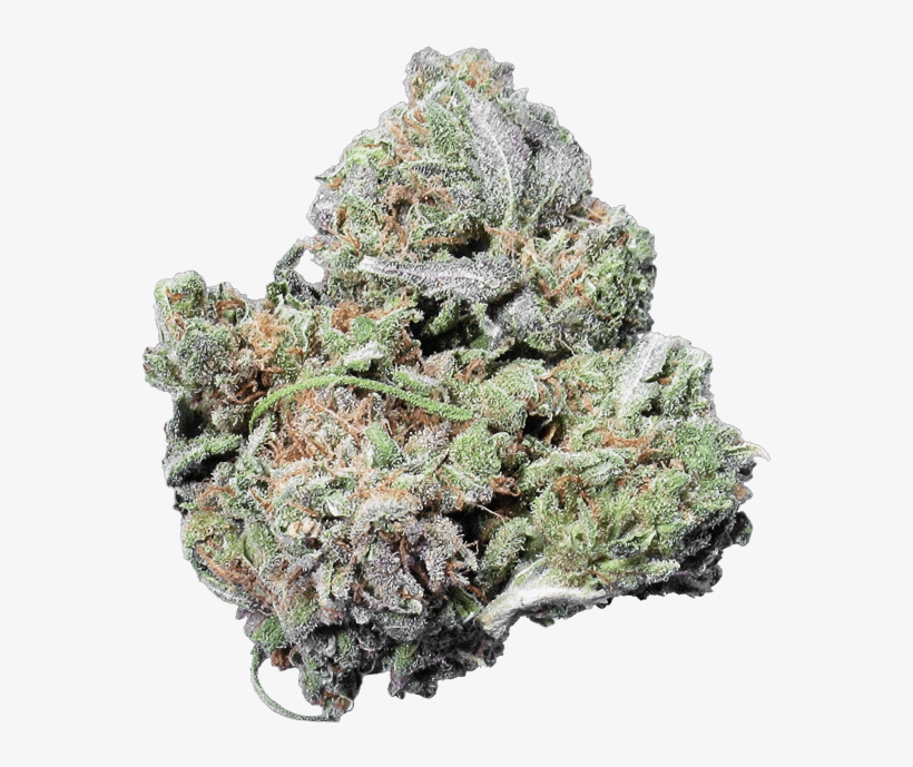 Pennywise Cbd Dried Cannabis - Yellow Fir PNG Image | Transparent PNG ...