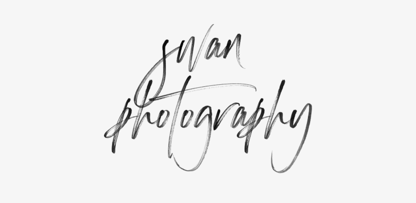 Swan Photography - Calligraphy PNG Image | Transparent PNG Free ...