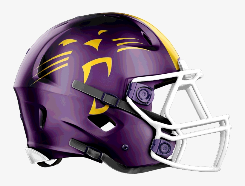 Download Peninsula Panthers Panthers - Face Mask | Transparent PNG ...