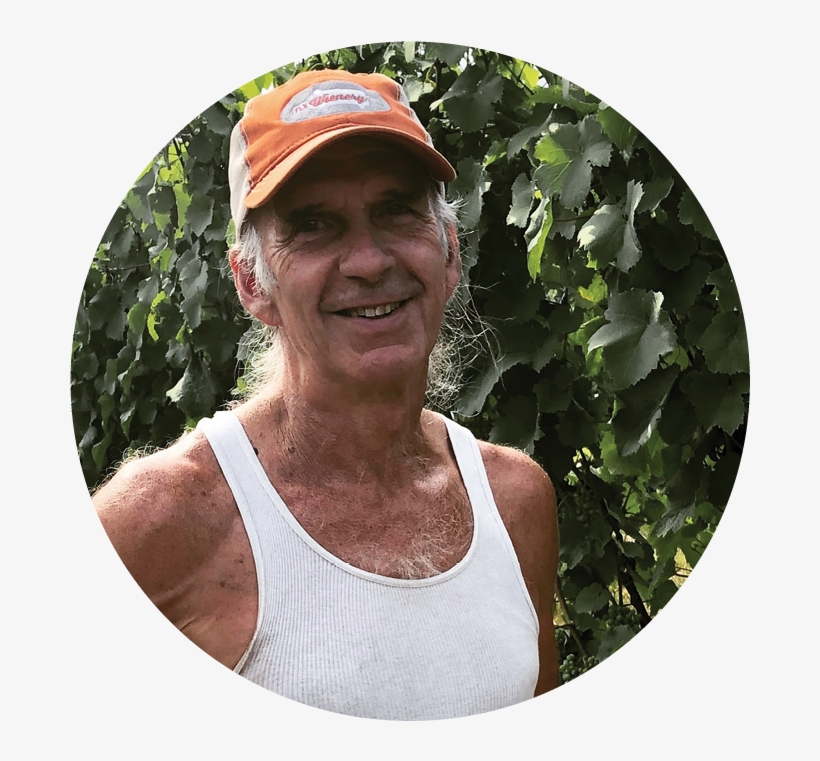 Phildavis - Tree PNG Image | Transparent PNG Free Download on SeekPNG