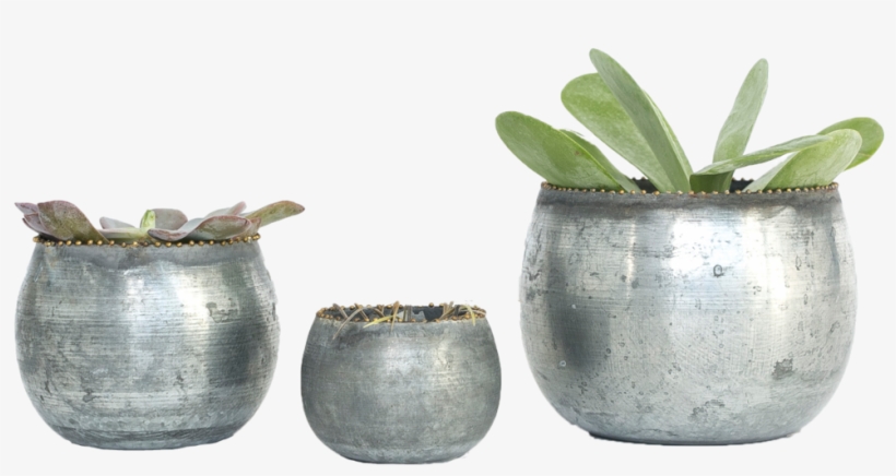 Zinc Planters, Set Of PNG Image | Transparent PNG Free Download on SeekPNG