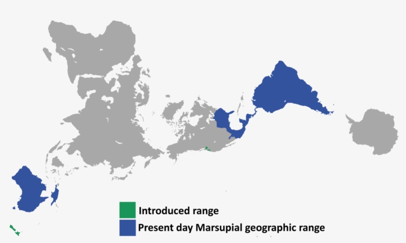 High Quality Images Of Maps - Map PNG Image | Transparent PNG Free ...