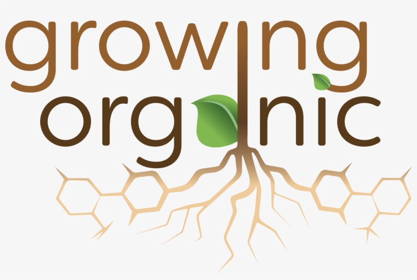 Growing Organic Logo - Graphic Design PNG Image | Transparent PNG Free ...