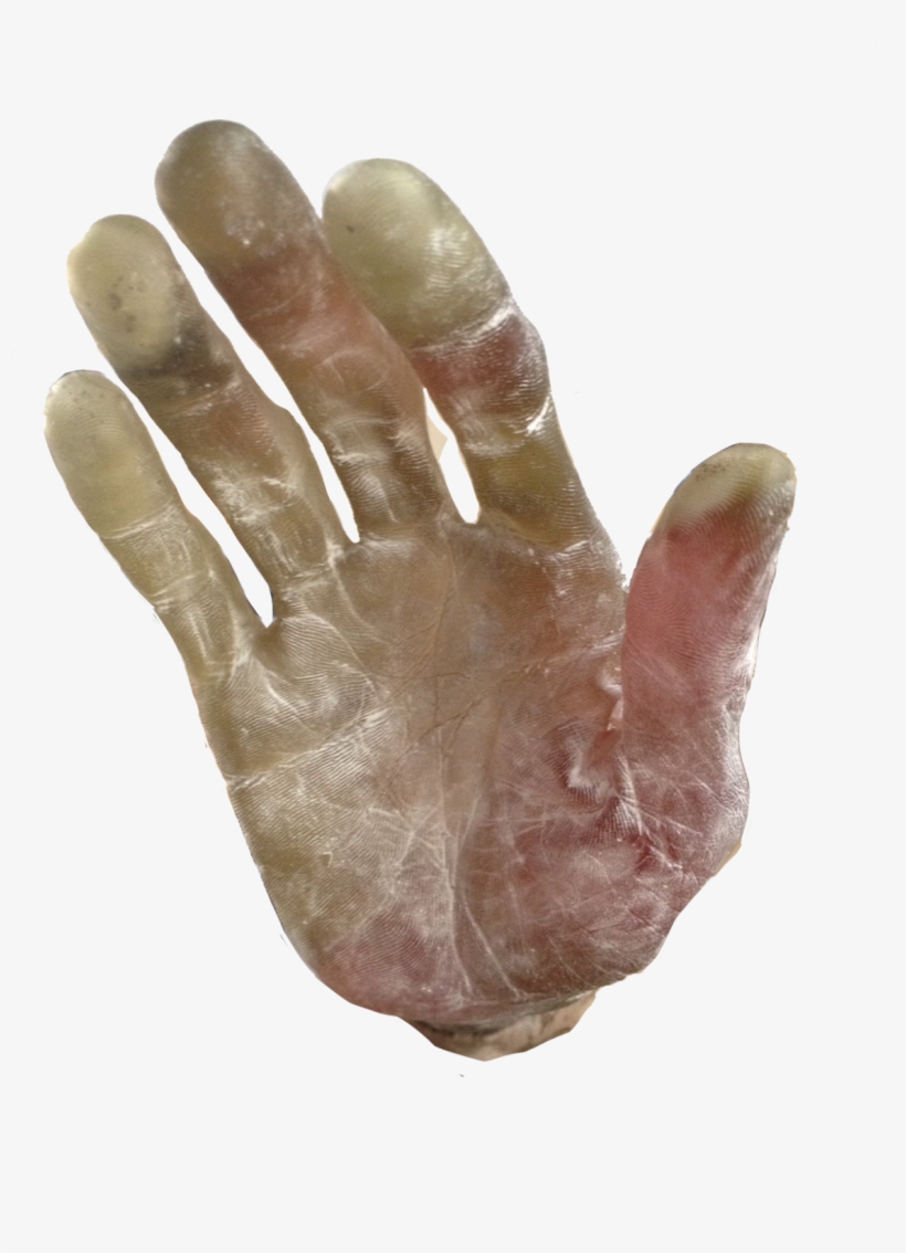 Test Cast Of Hand With Finger Print Detail - Flesh PNG Image ...