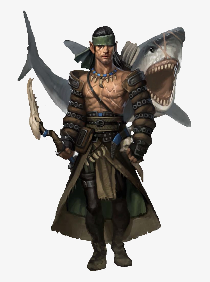 713 X 1116 5 0 - Beast Master Dnd PNG Image | Transparent PNG Free ...