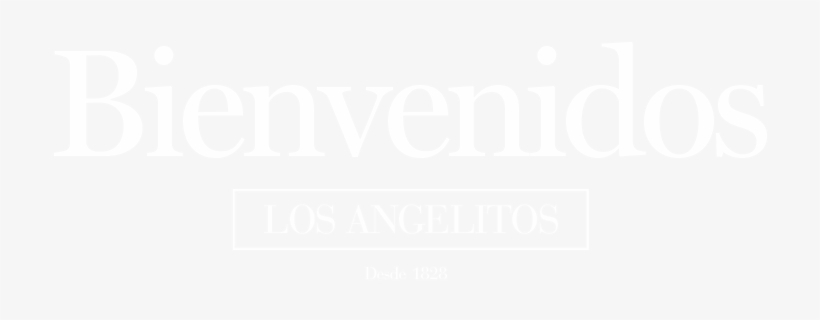 Google Logo G White PNG Image | Transparent PNG Free Download on SeekPNG