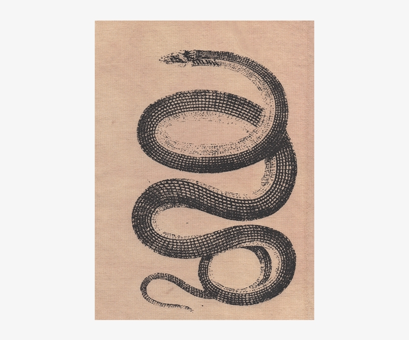 Download Snake-patch - Smooth Earth Snake | Transparent PNG Download ...