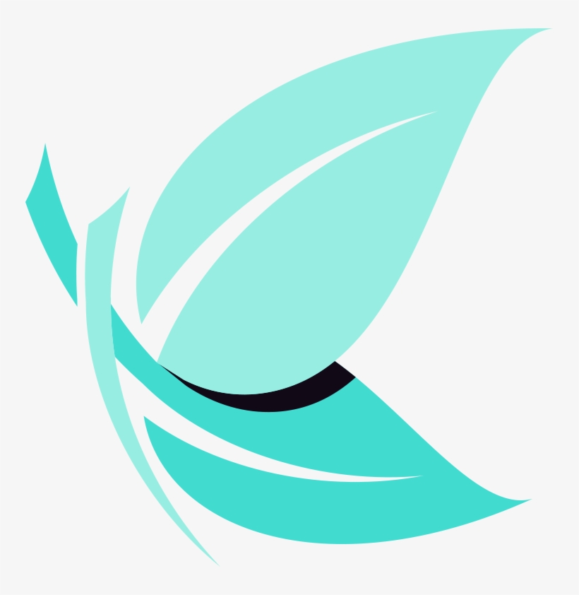 Dr Murphy Logo PNG Image | Transparent PNG Free Download on SeekPNG