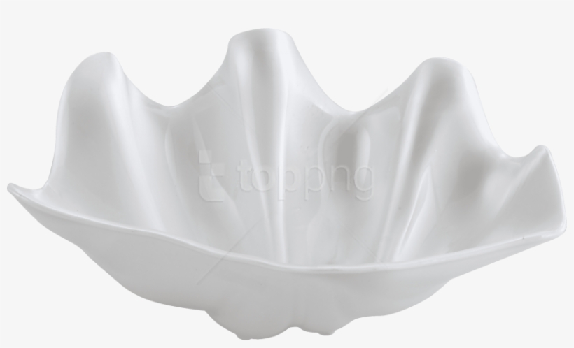 Download Free Png Conch Png Images Transparent - Ceramic | Transparent ...