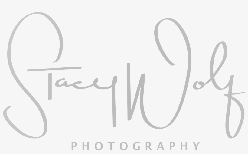 Stacy Wolf Photography PNG Image | Transparent PNG Free Download on SeekPNG