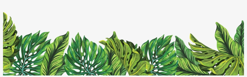 Become - Tree PNG Image | Transparent PNG Free Download on SeekPNG