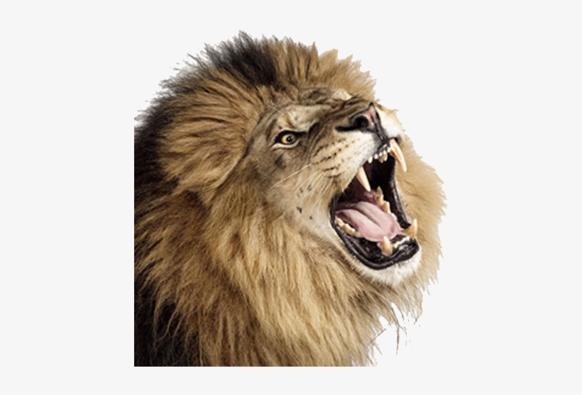Lion Head Roaring - Creature Andrew Zuckerman PNG Image | Transparent ...
