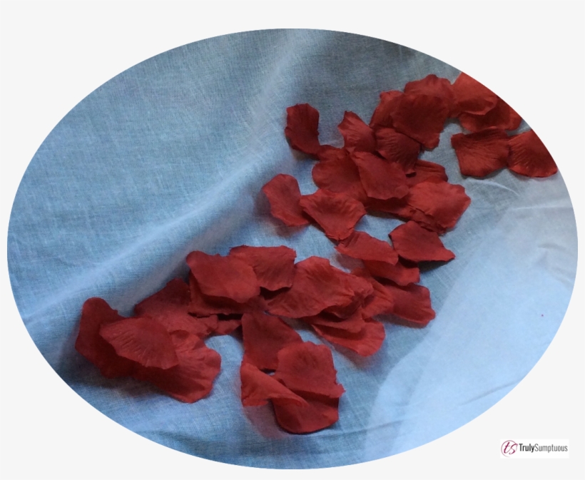 Egyptian Draping Muslin - Floral Design PNG Image | Transparent PNG ...