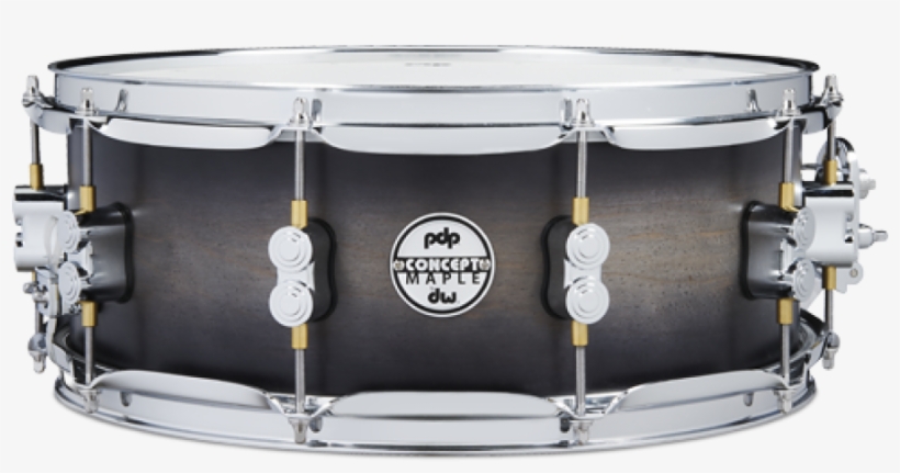 Dw By Pdp Concept Birch Snare PNG Image | Transparent PNG Free Download ...