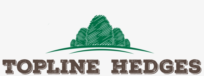 Hedges Png PNG Image | Transparent PNG Free Download on SeekPNG